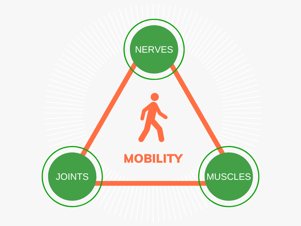 Science of Mobility by MoveMor Mobility Trainer