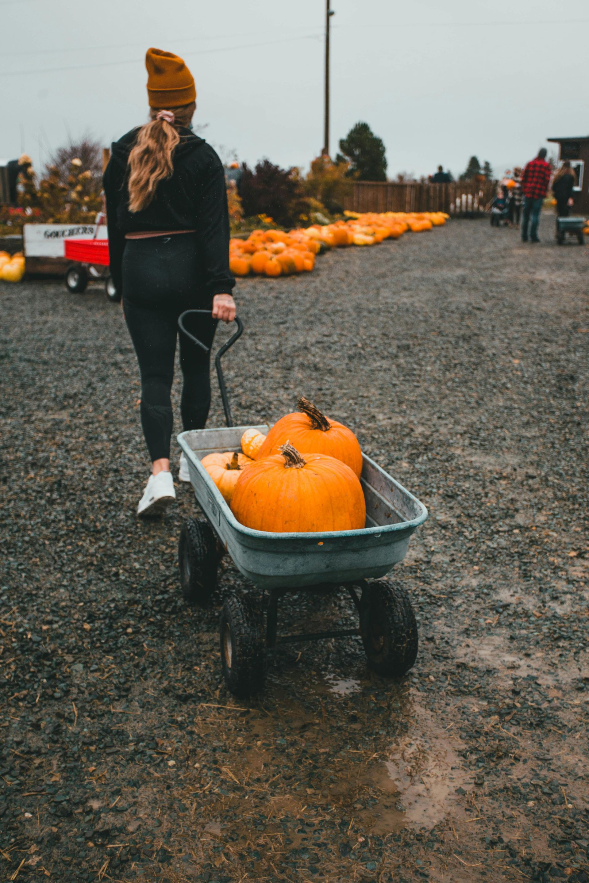 Fall on Long Island 2025: Best Pumpkin Picking, Festivals & Things to Do