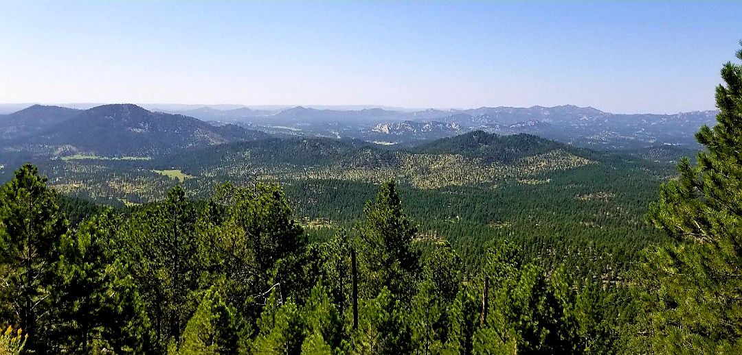 Photos & Video Gallery | Bridle Ridge Horse & RV Camp