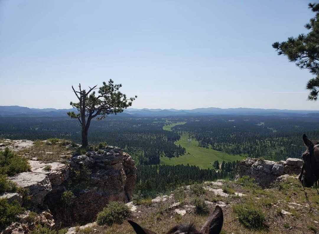 Photos & Video Gallery | Bridle Ridge Horse & RV Camp