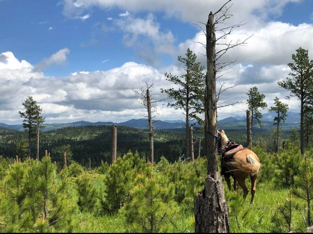 Photos & Video Gallery | Bridle Ridge Horse & RV Camp