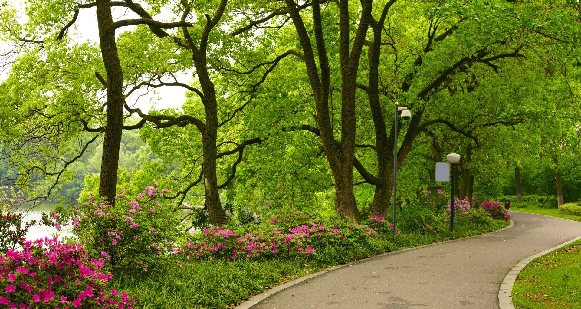 Why Are Trees Important And Why We Should Care