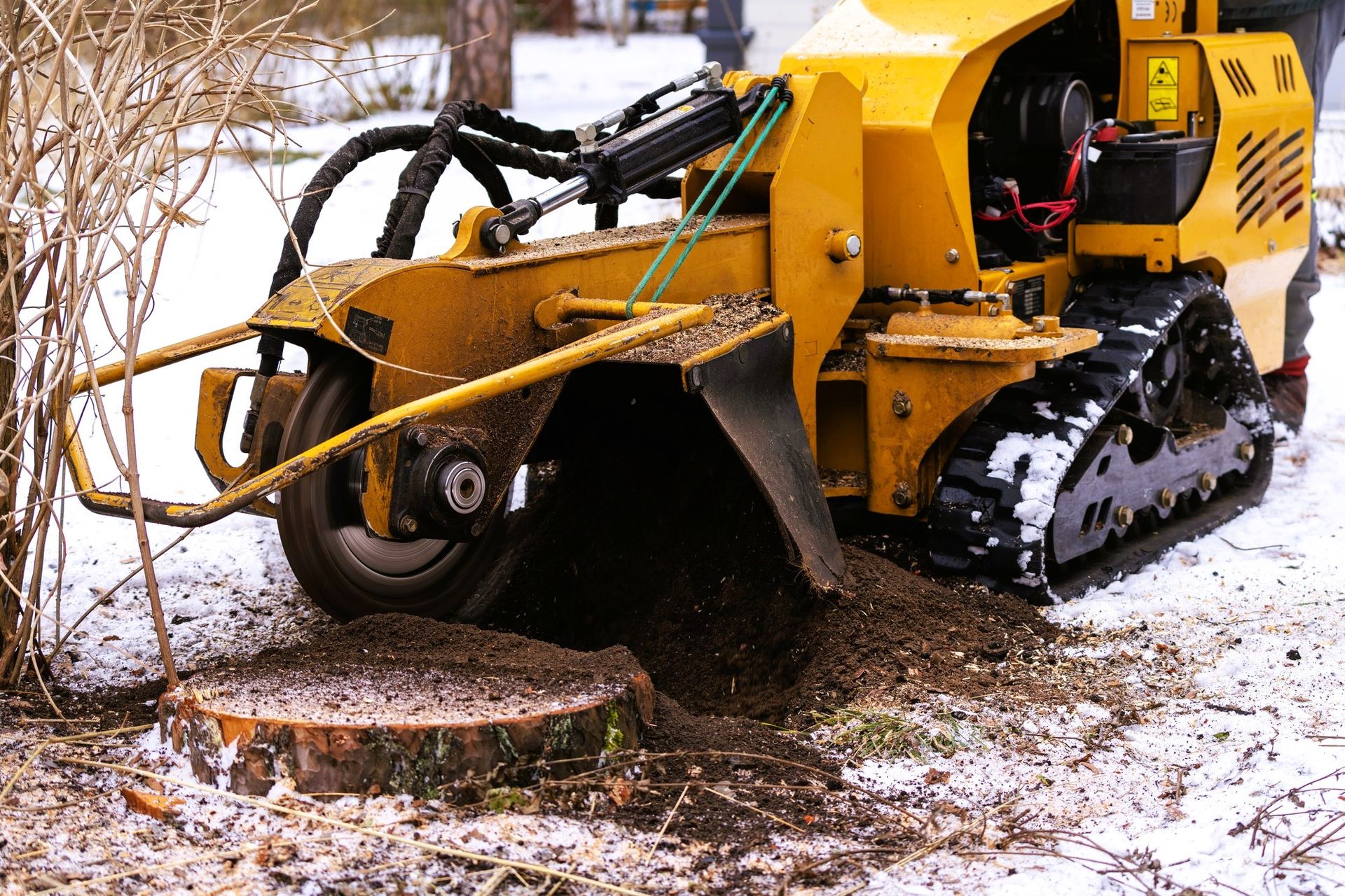 Stump Grinding: The Do's and Don'ts You Need to Know