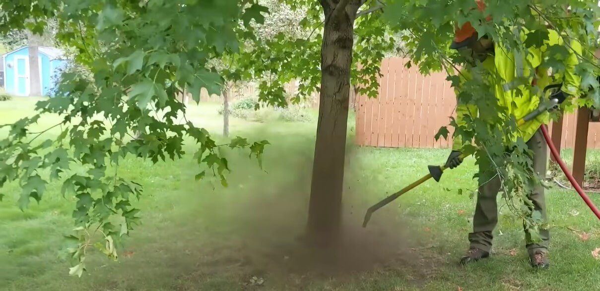 Save A Tree: Why Professional Air Spading is Important
