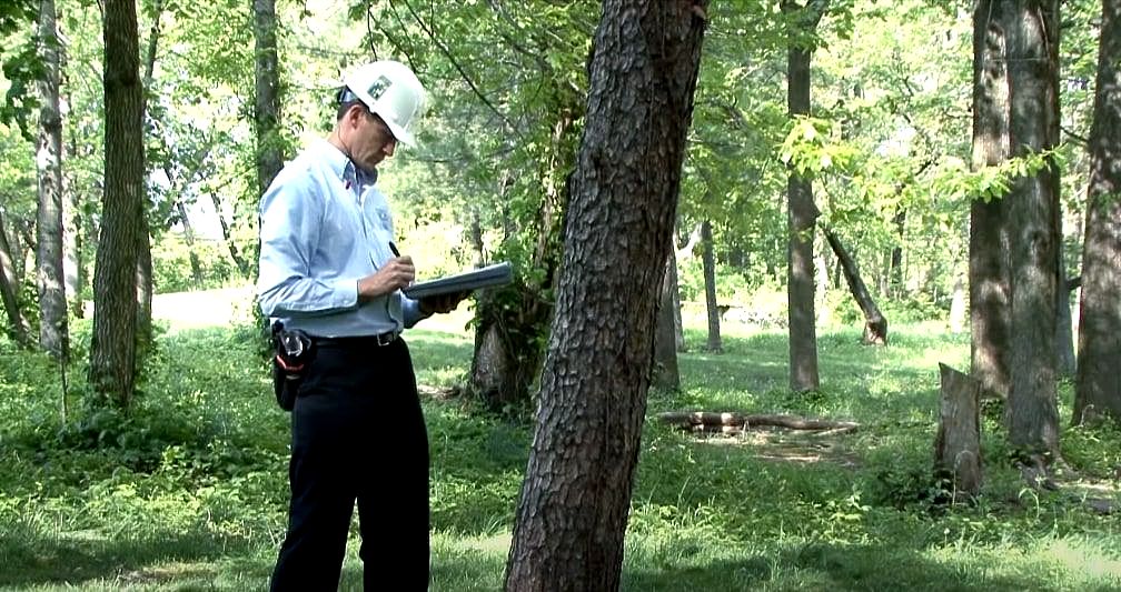The Vital Role of a Certified Arborist in Tree Risk Assessment