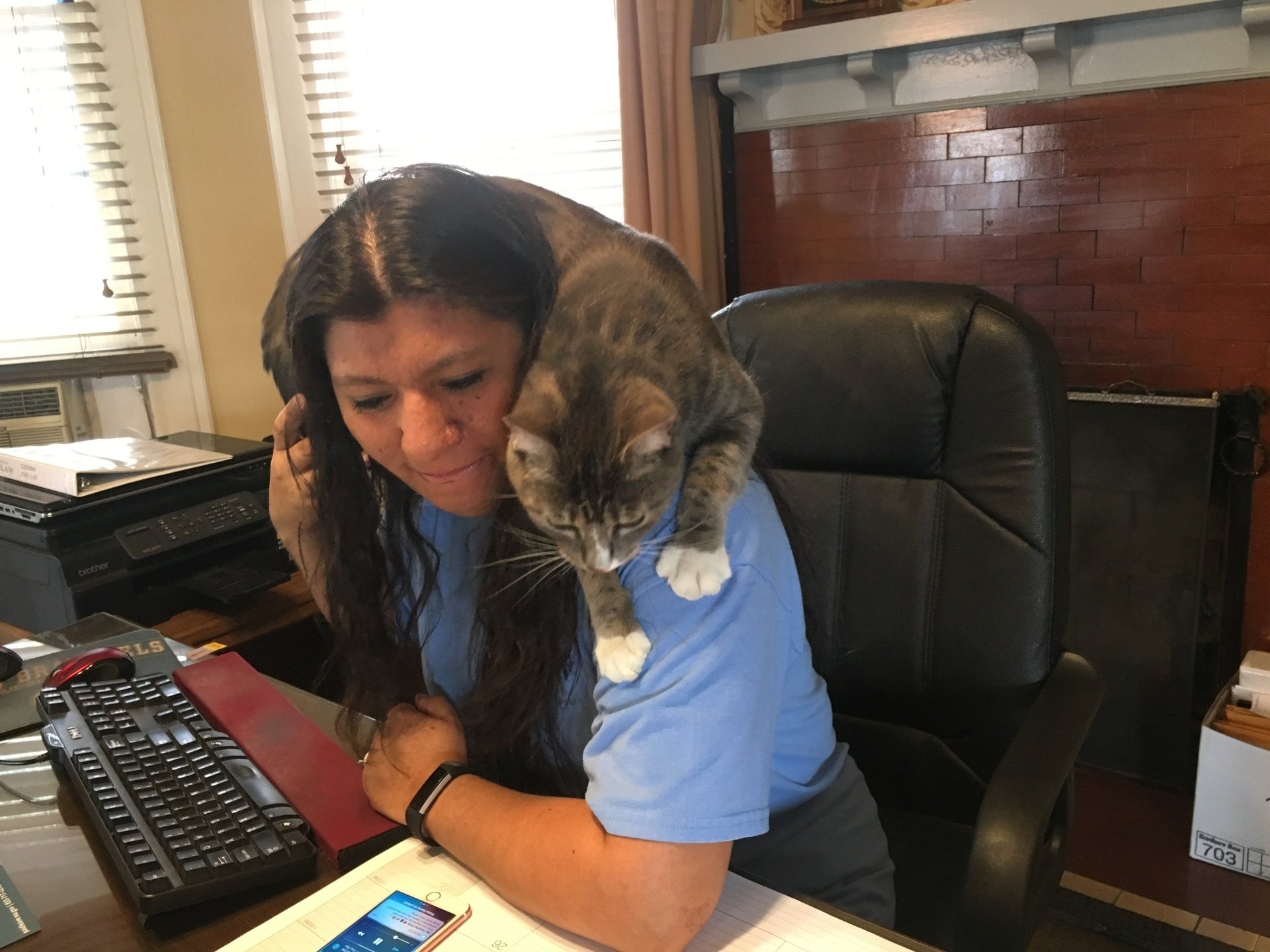 The Law Cat – Dismal | Yakima, WA | 2nd Street Law PLLC