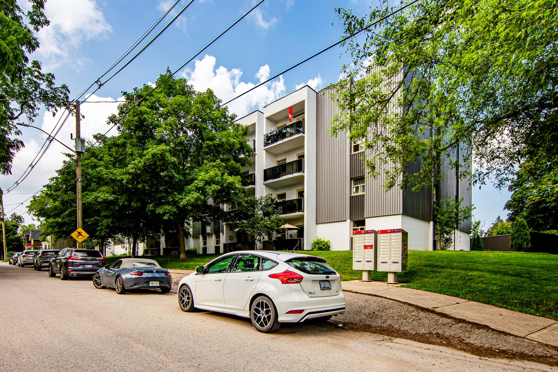 Apartment Gallery | 7 Albert Street