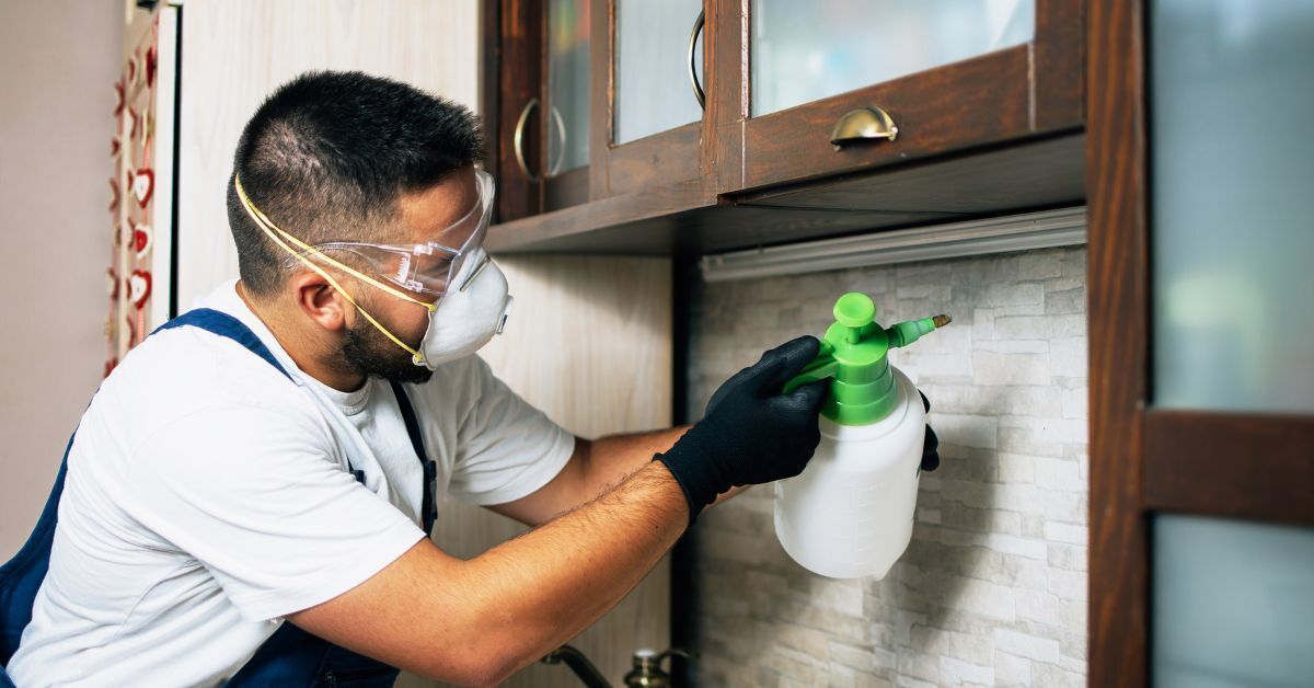Expert Pest Control in West Jordan & Salt Lake City: Protecting Your ...