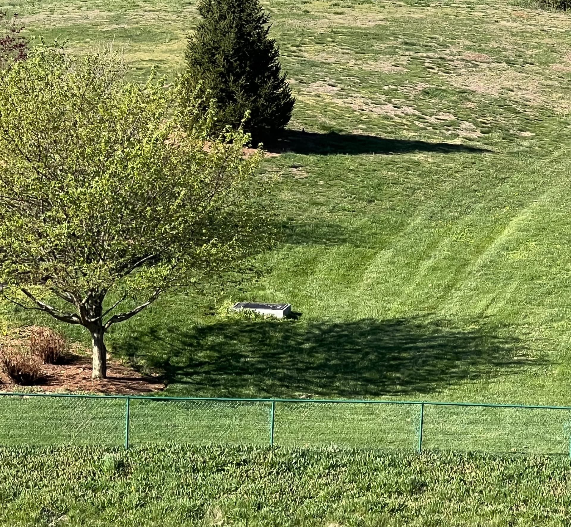 Permanent Cremation Urn Placement | Forest Hills Memory Gardens