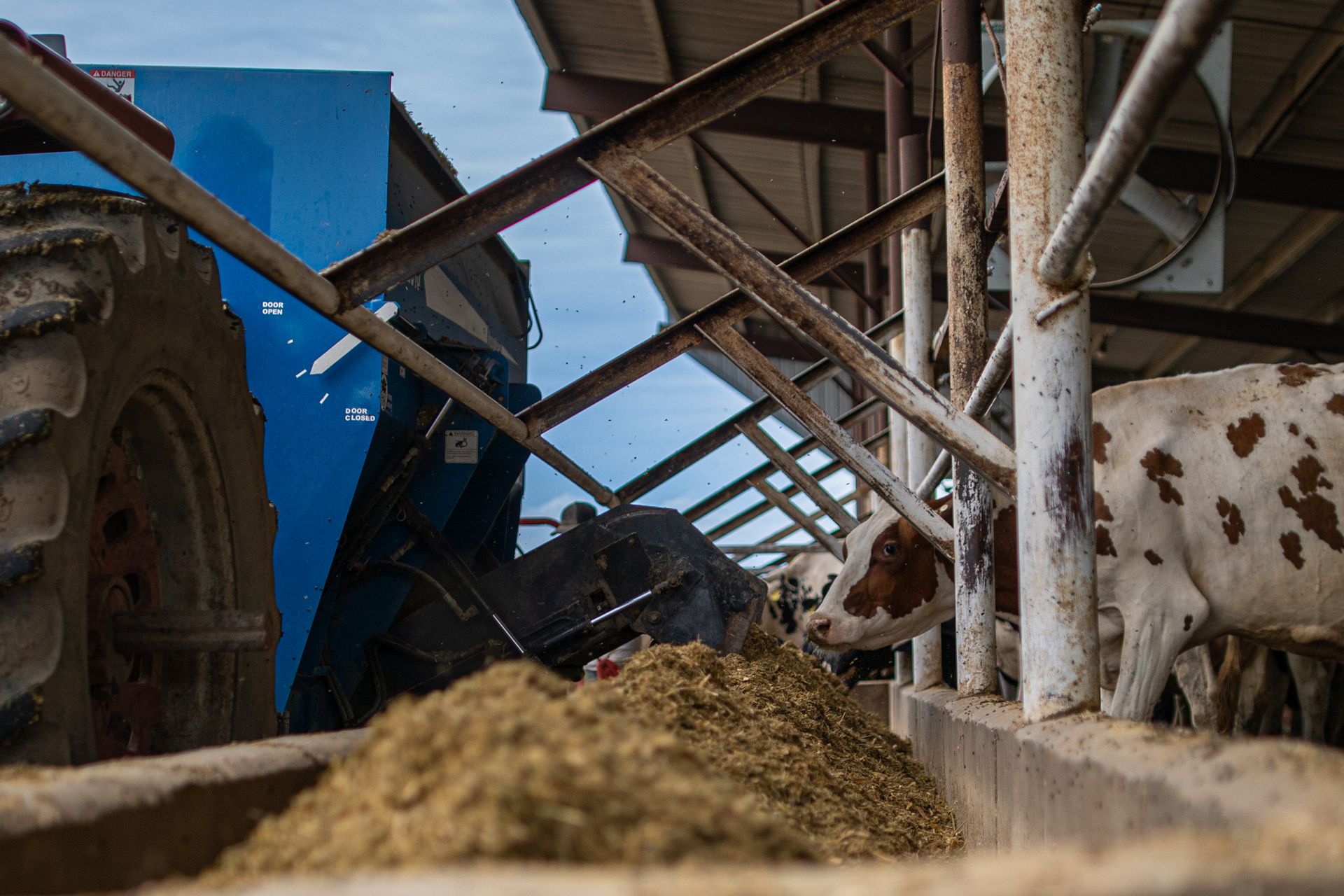 Jackson Farmers - Feed