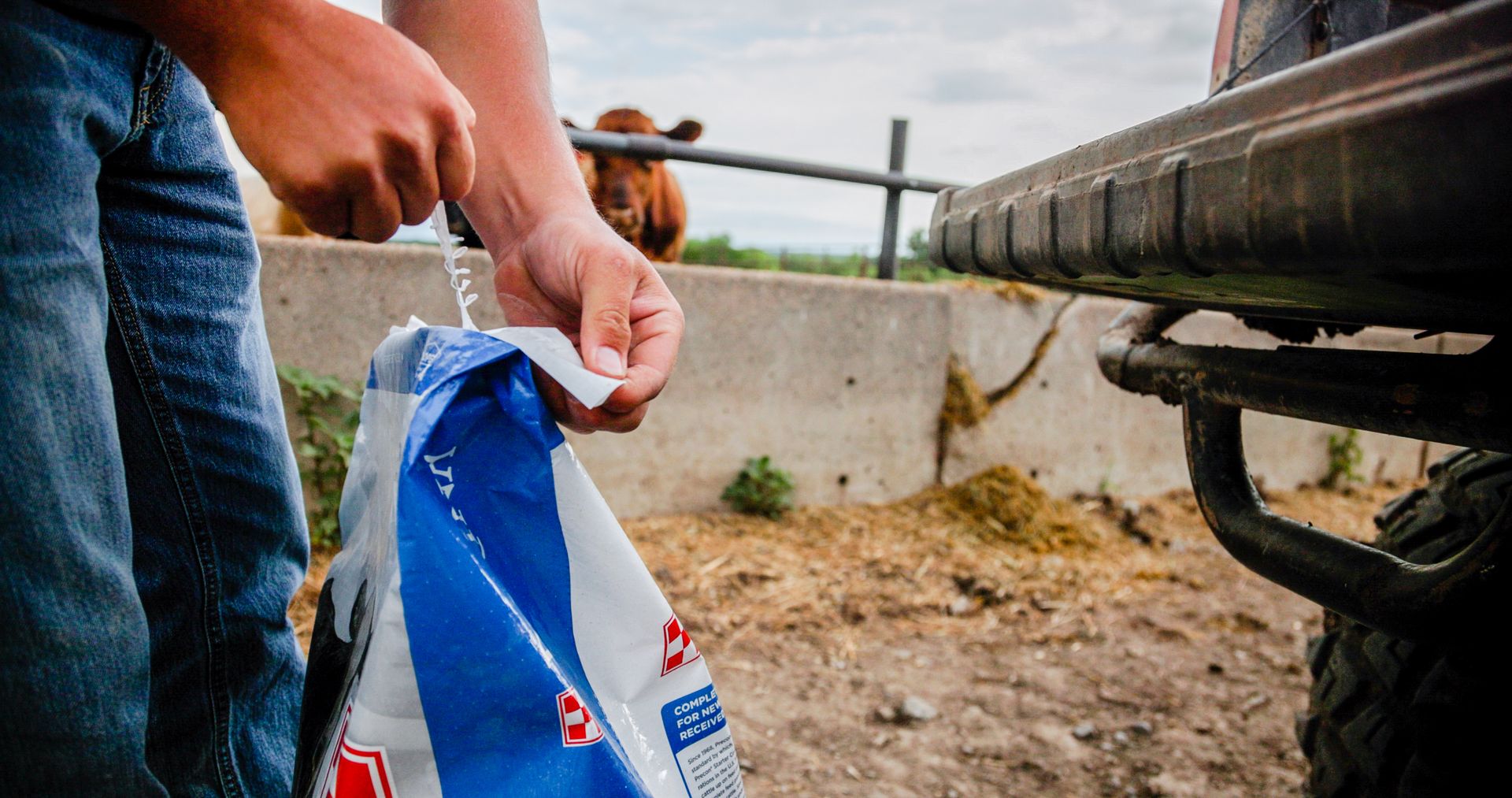 Jackson Farmers - Feed