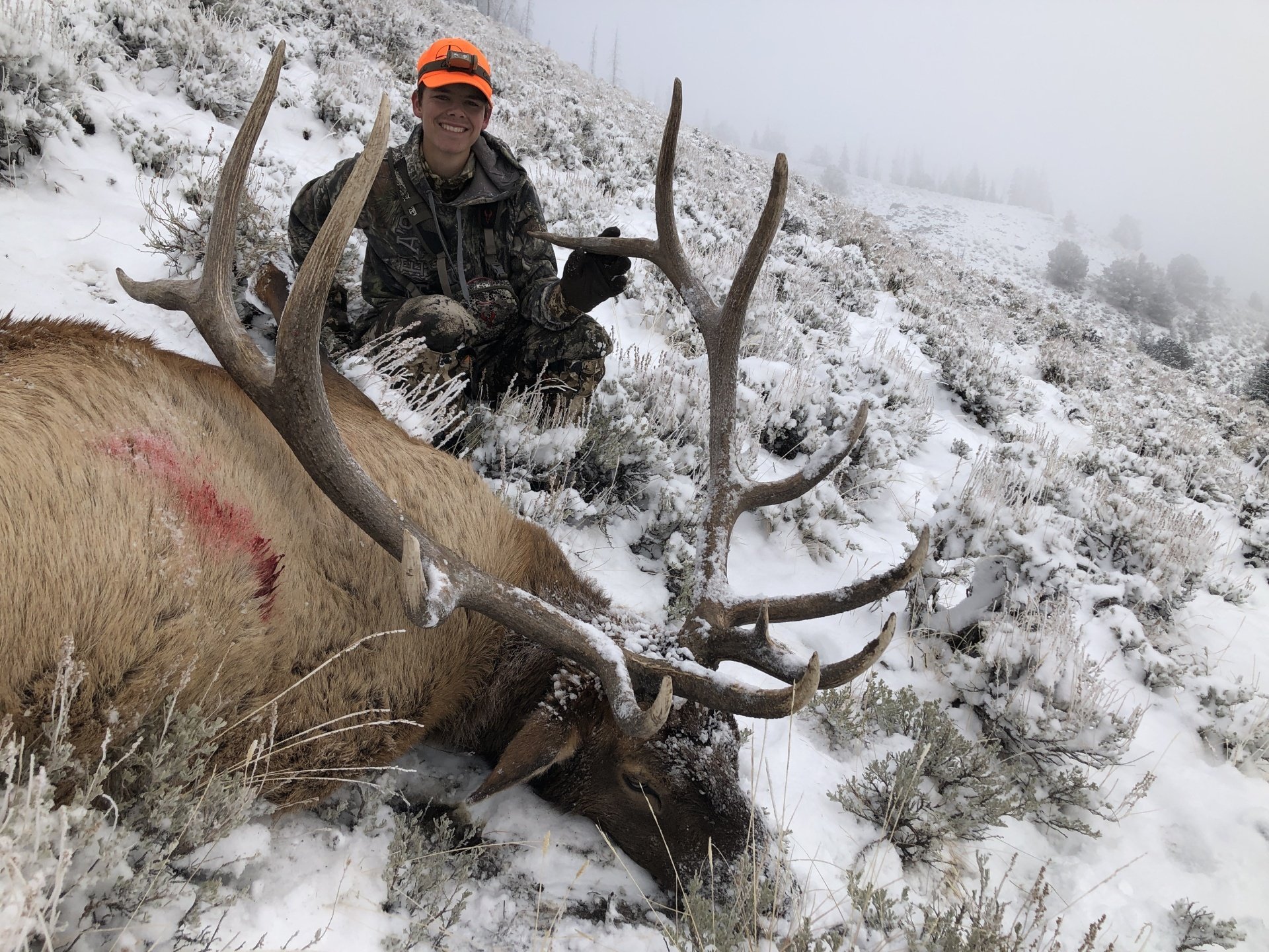 Western Wyoming Elk hunt | Wyoming Elk Guide | Wyoming Outfitter