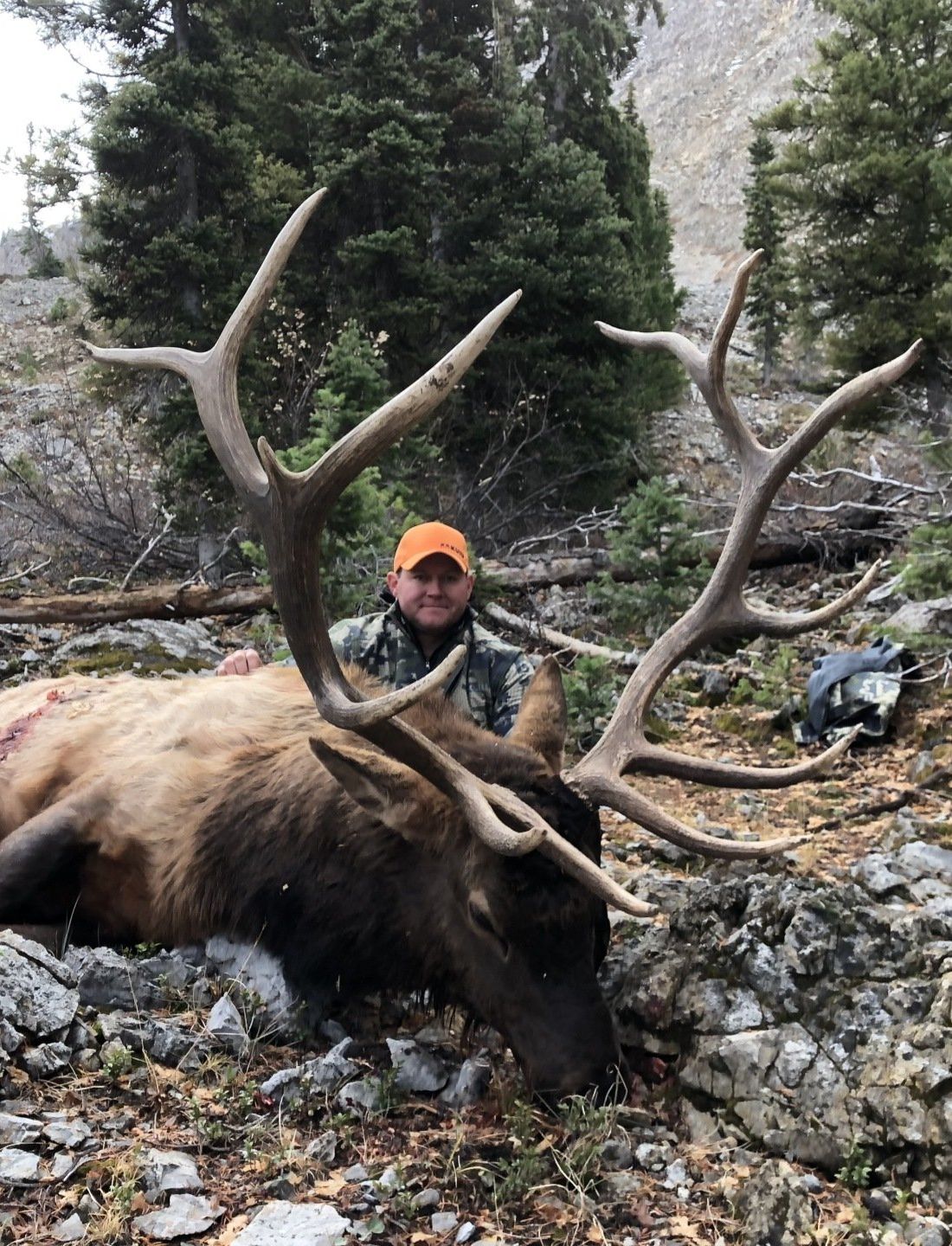 Wyoming Elk Hunt | Guided Wyoming Elk | Wyoming Outfitter