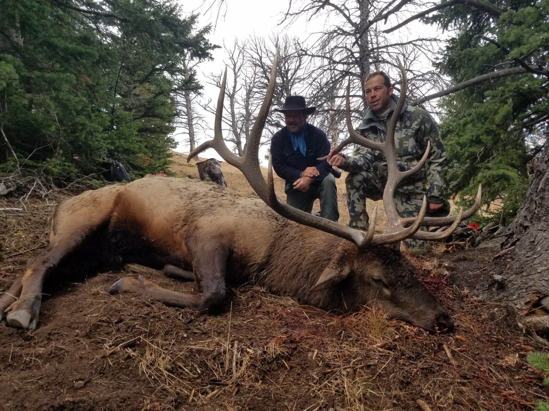Western Wyoming Elk hunt | Wyoming Elk Guide | Wyoming Outfitter