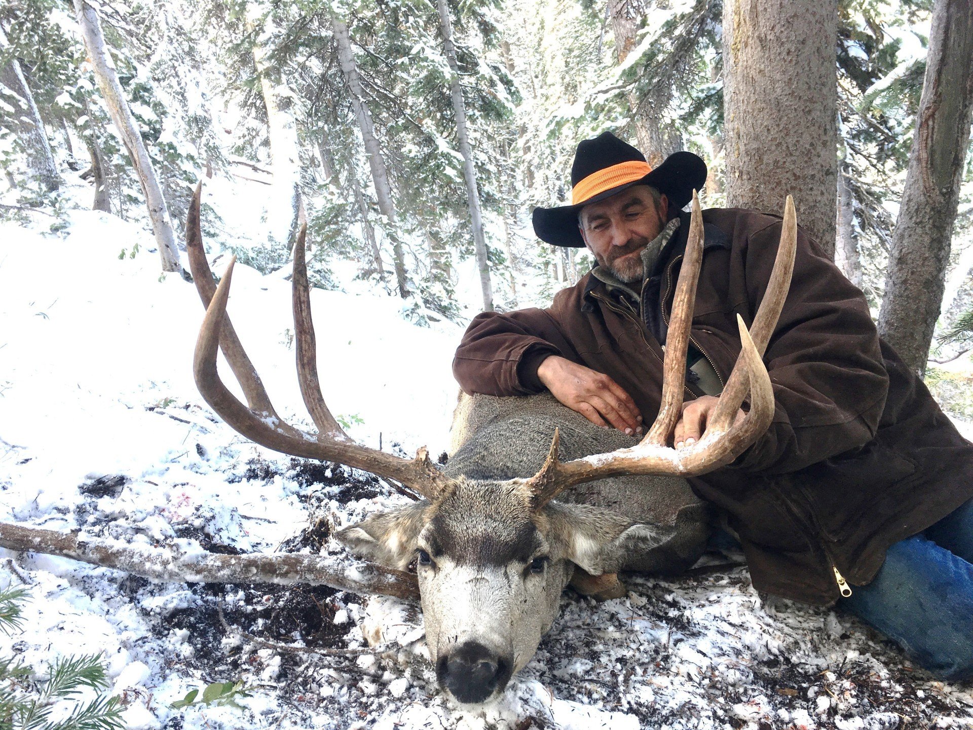 Wyoming mule deer hunting | Wyoming outfitter | Region H