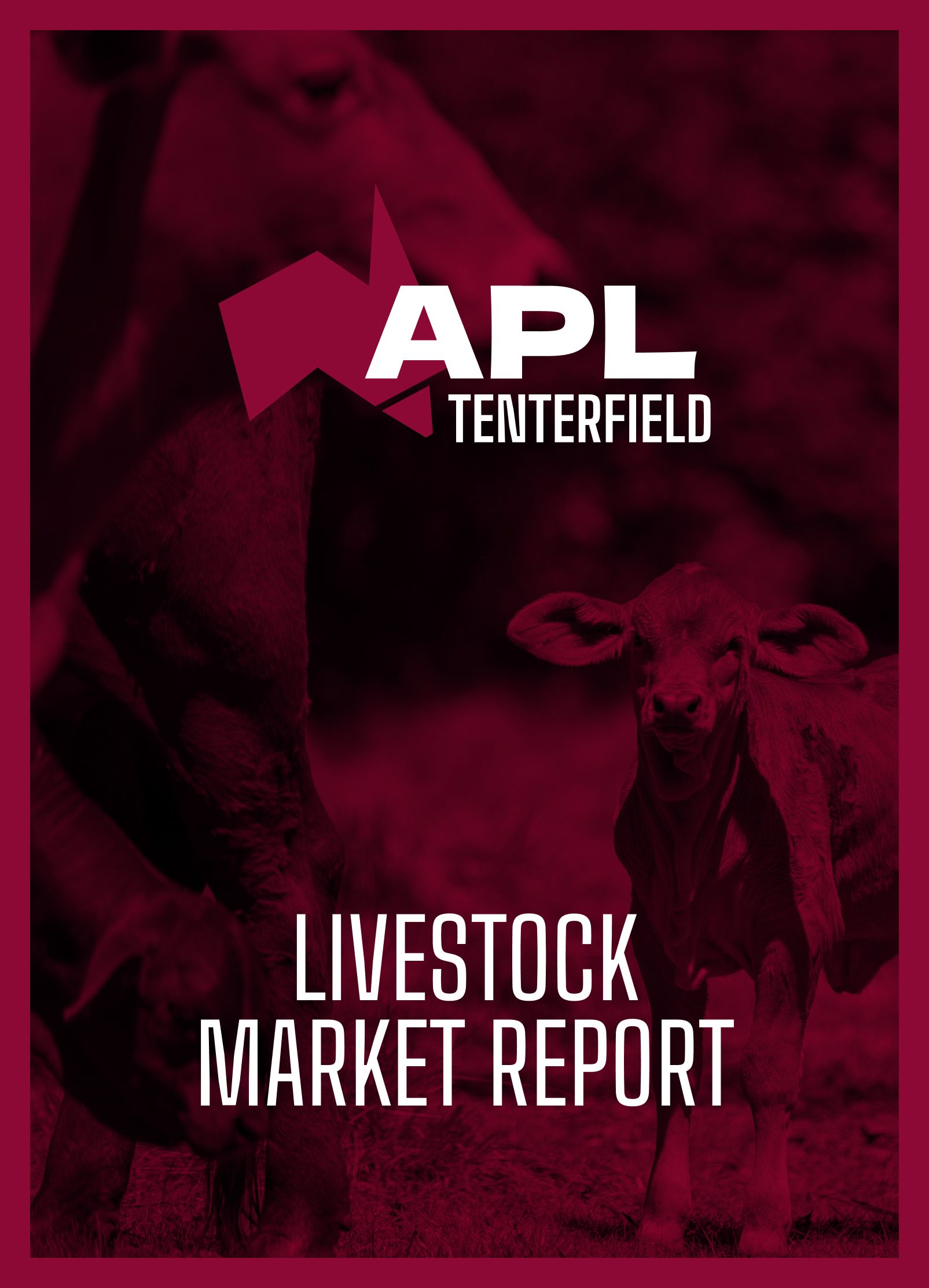 Livestock Market Reports | APL Tenterfield