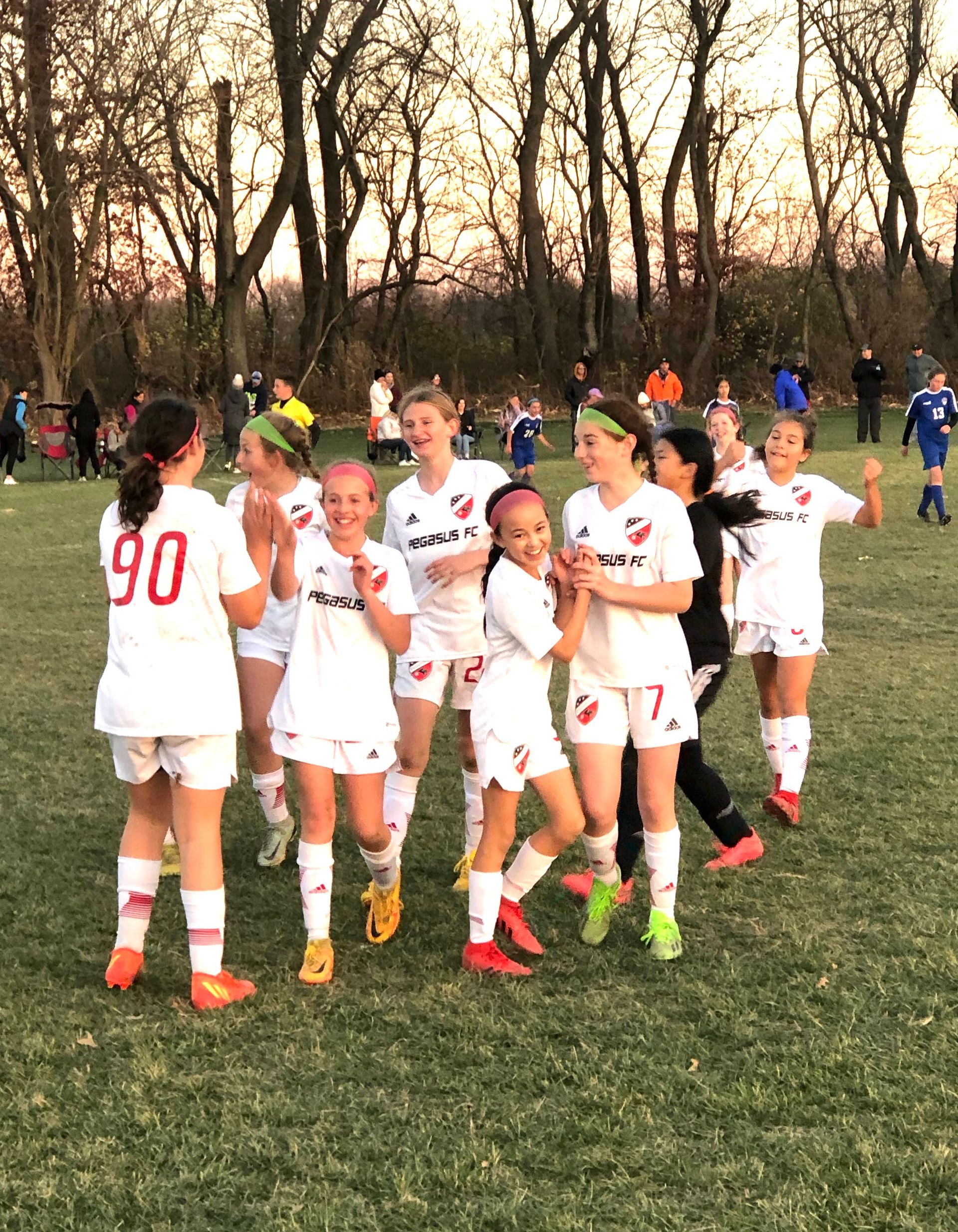 Pegasus FC Playing Philosophy