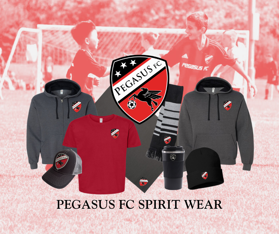 Team Store