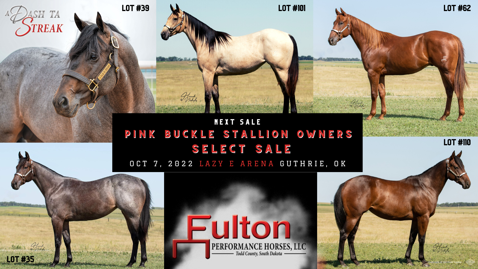 Pink Buckle Sale - Fulton Ranch Horses