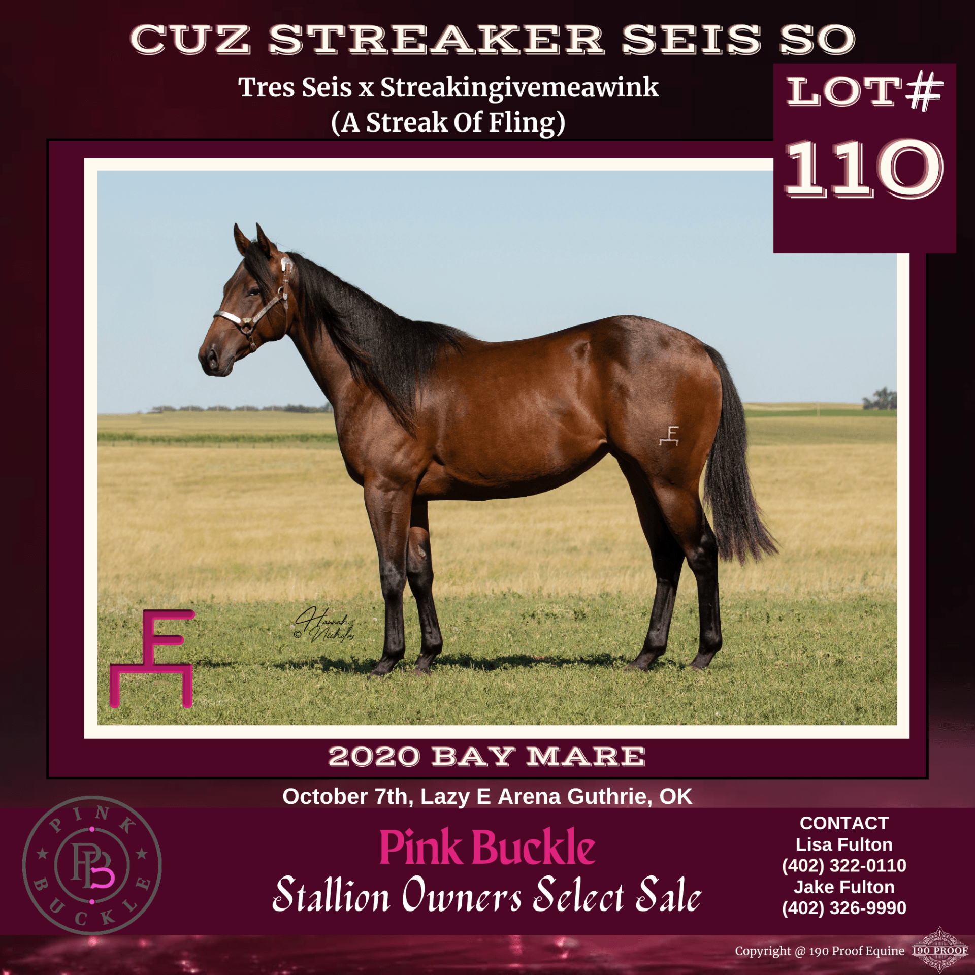 Pink Buckle Sale - Fulton Ranch Horses