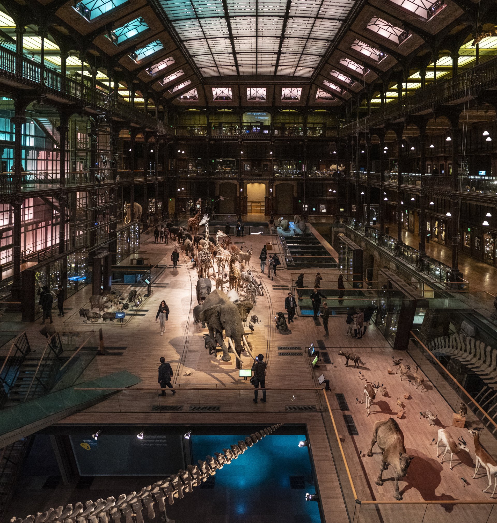 SAOLA STUDIO - REVIVRE