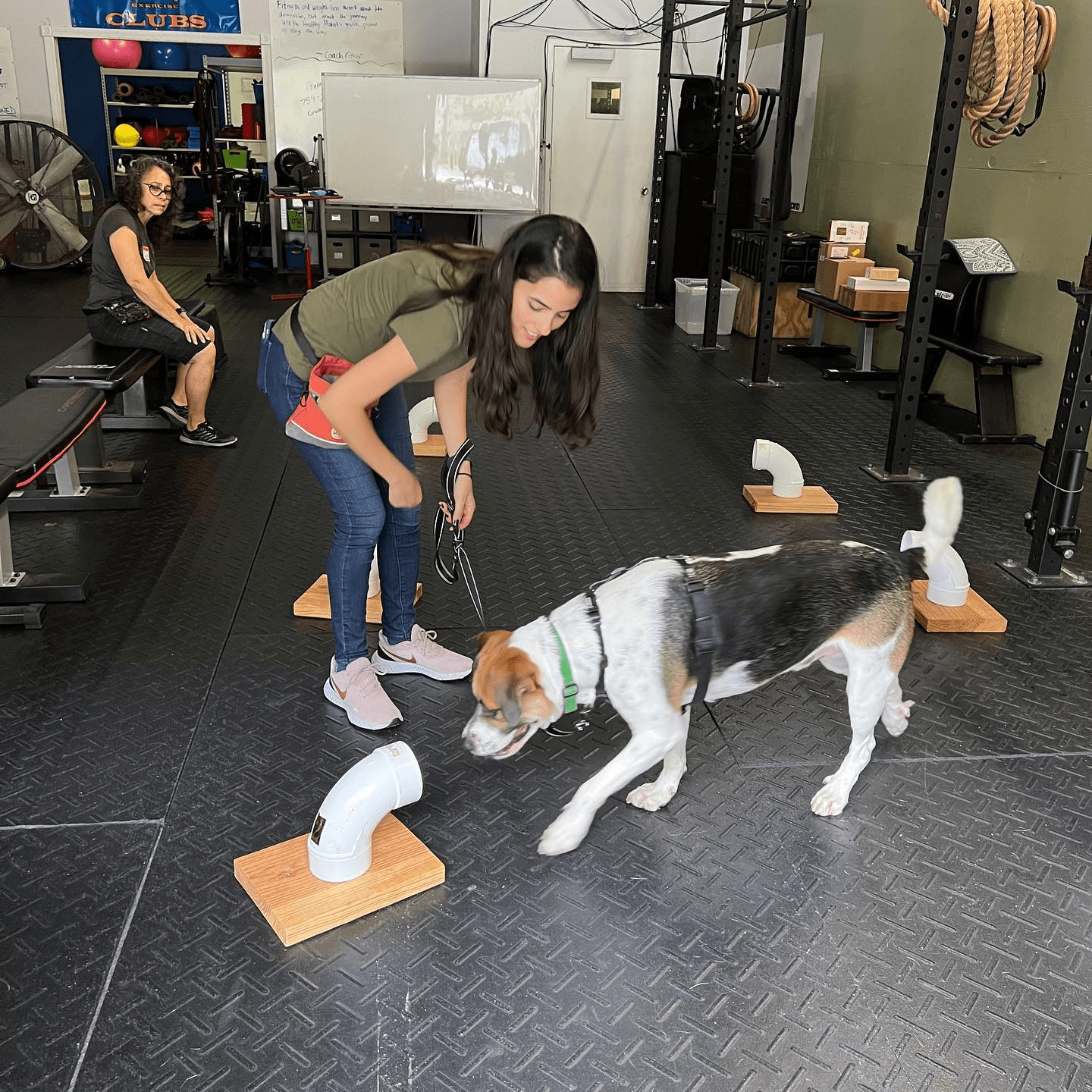 Training & Behavior | HumaneK9 Dog Training Fort Lauderdale