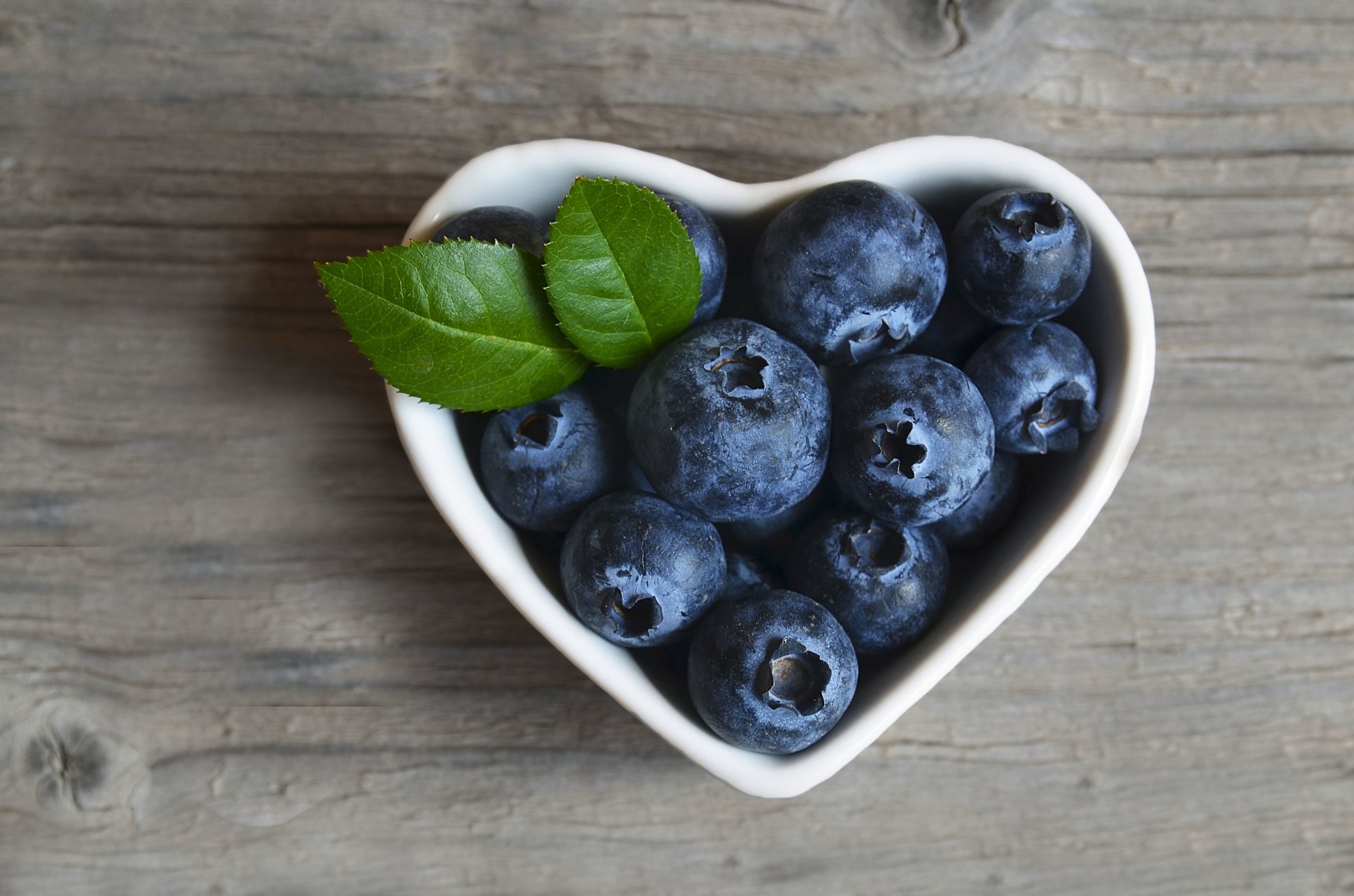 Welcome to Blue River Legacy Farms - Elizabethtown, NC