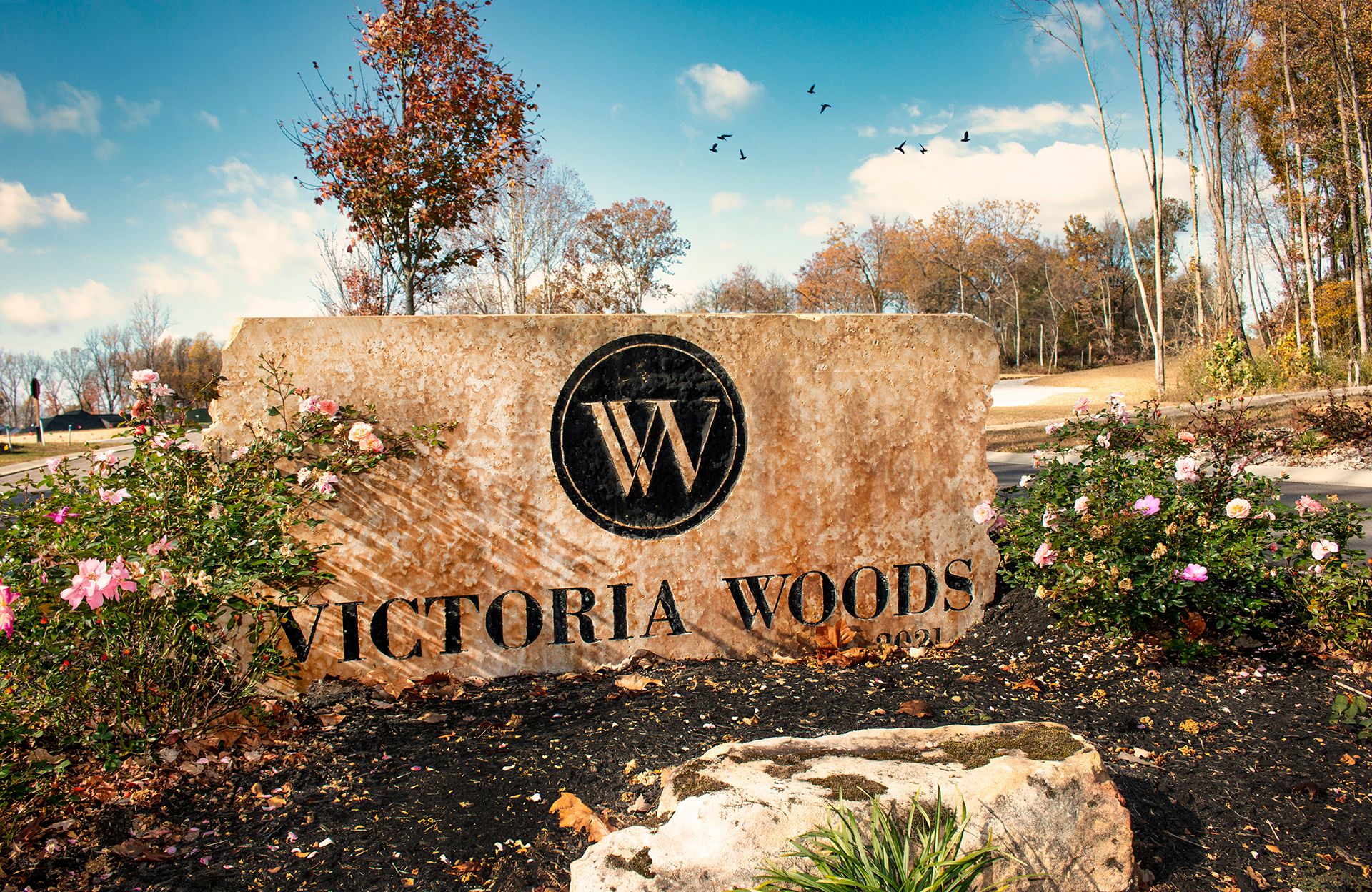 Gallery | Victoria Woods