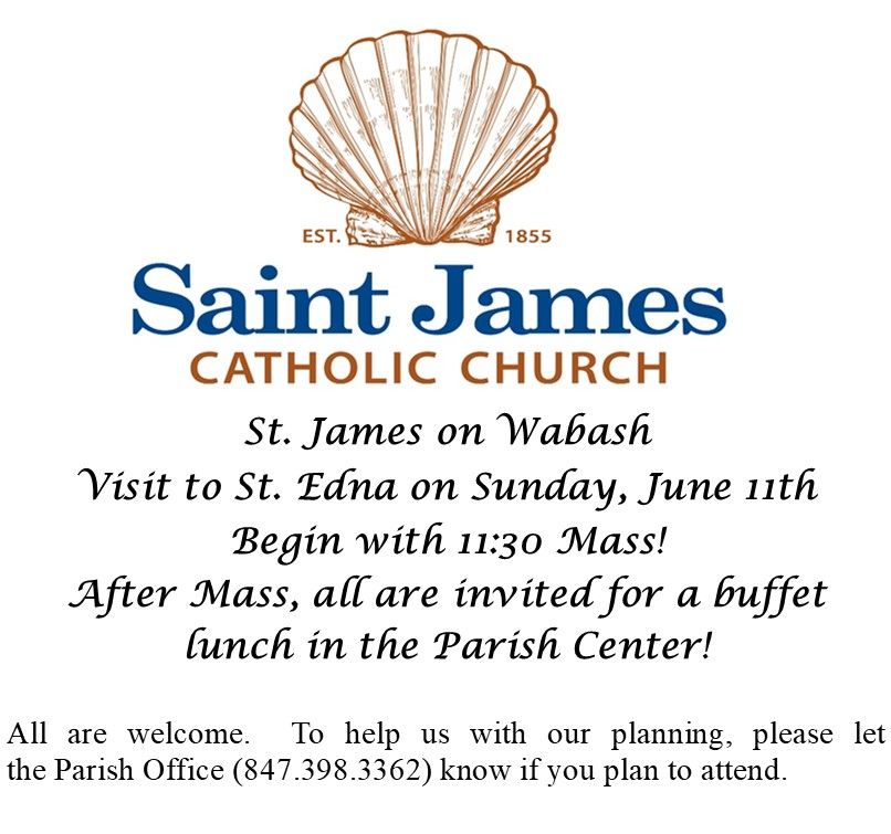 Home [www.stedna.org]