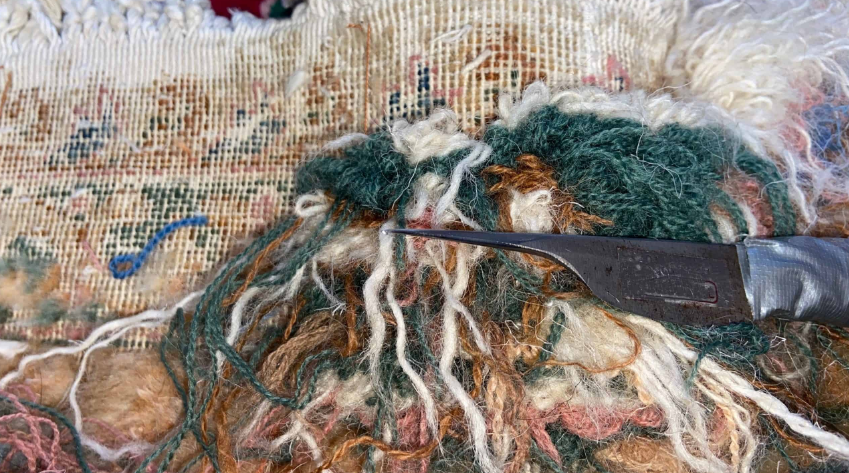 Do You Need Moth Treatment for Your Rugs? - Costikyan