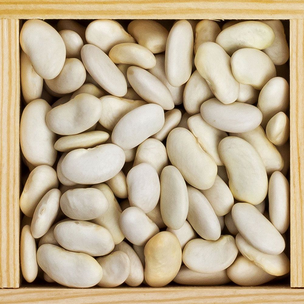 Pulses