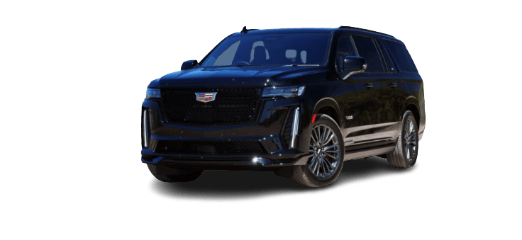 Limousine Company | Los Angeles, CA | AA Limo Service