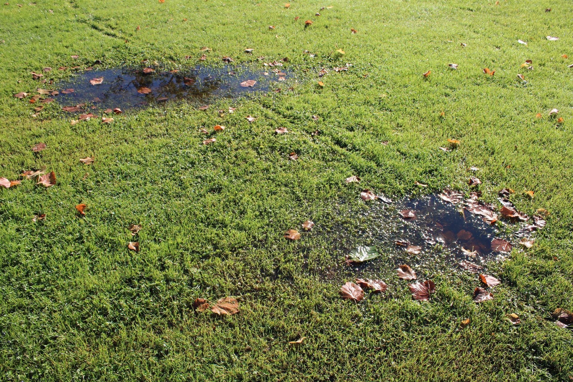 Pros and Cons of Septic Systems | What You Need to Know