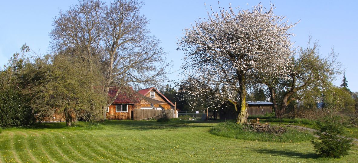 How To Find Your Septic Tank Location