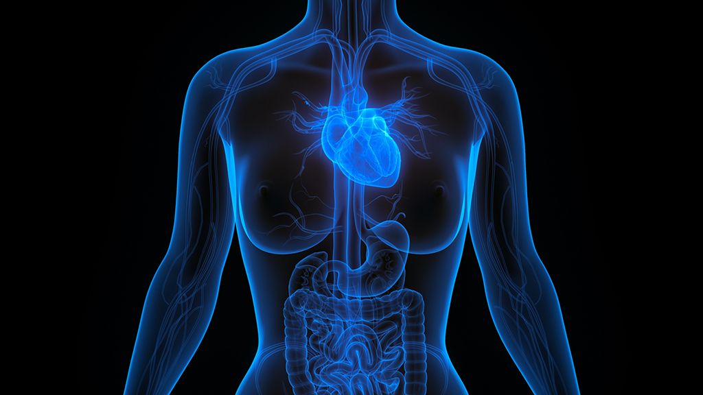 All Hearts Diagnostic Tools