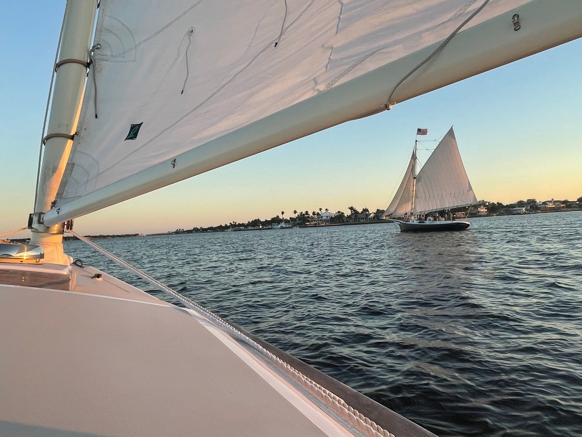 Gallery Wildlife | Treasure Coast Sailing Adventures