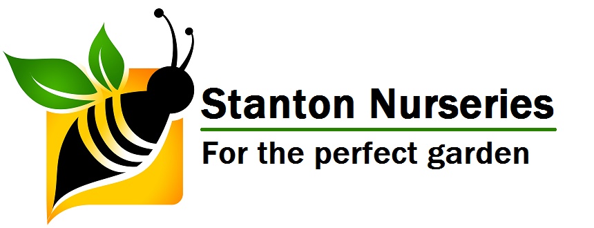 Quality Plants at Affordable Prices