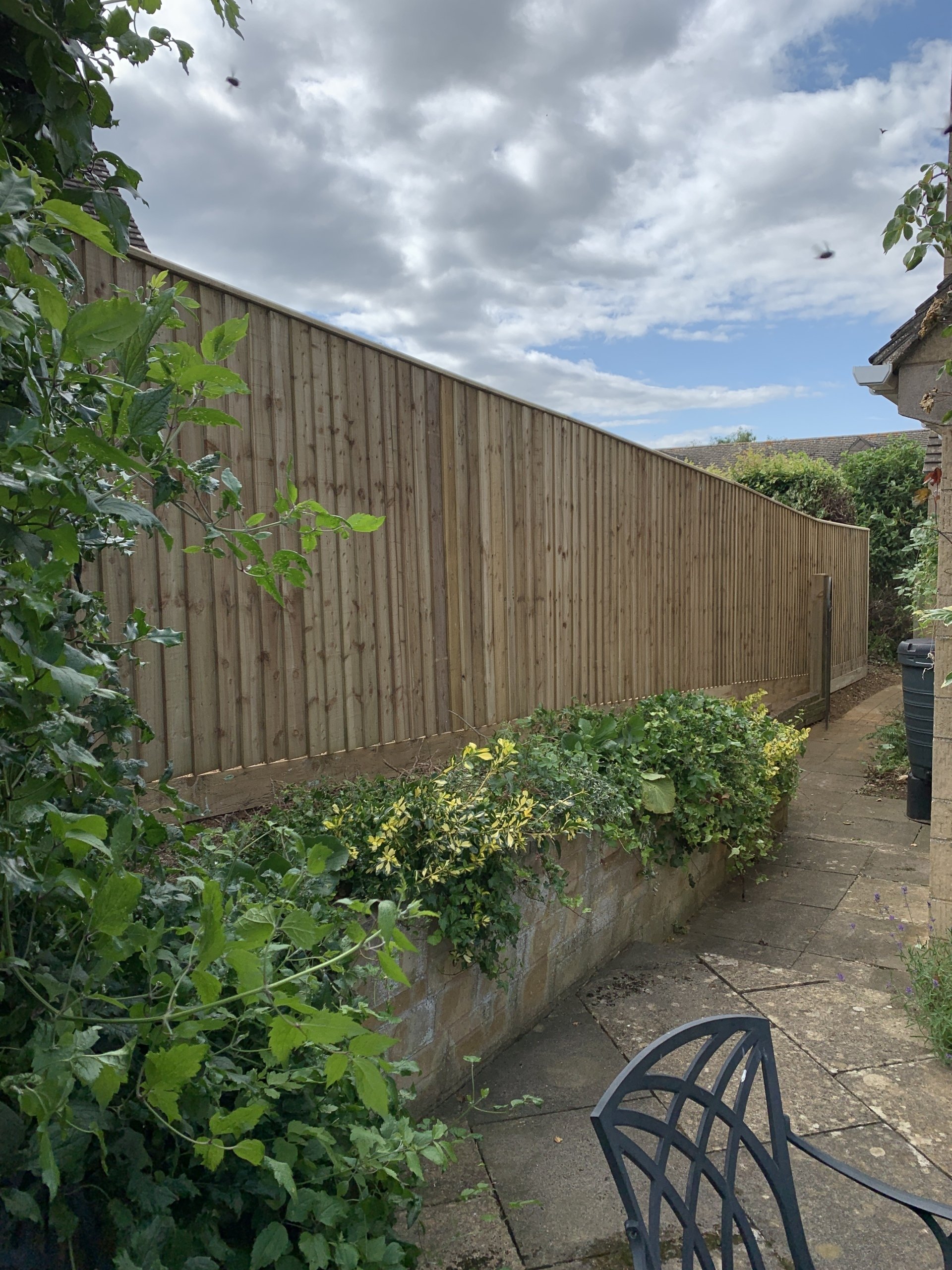 Qualified Tree Surgeon, Cotswolds | Tom Negus Tree Care