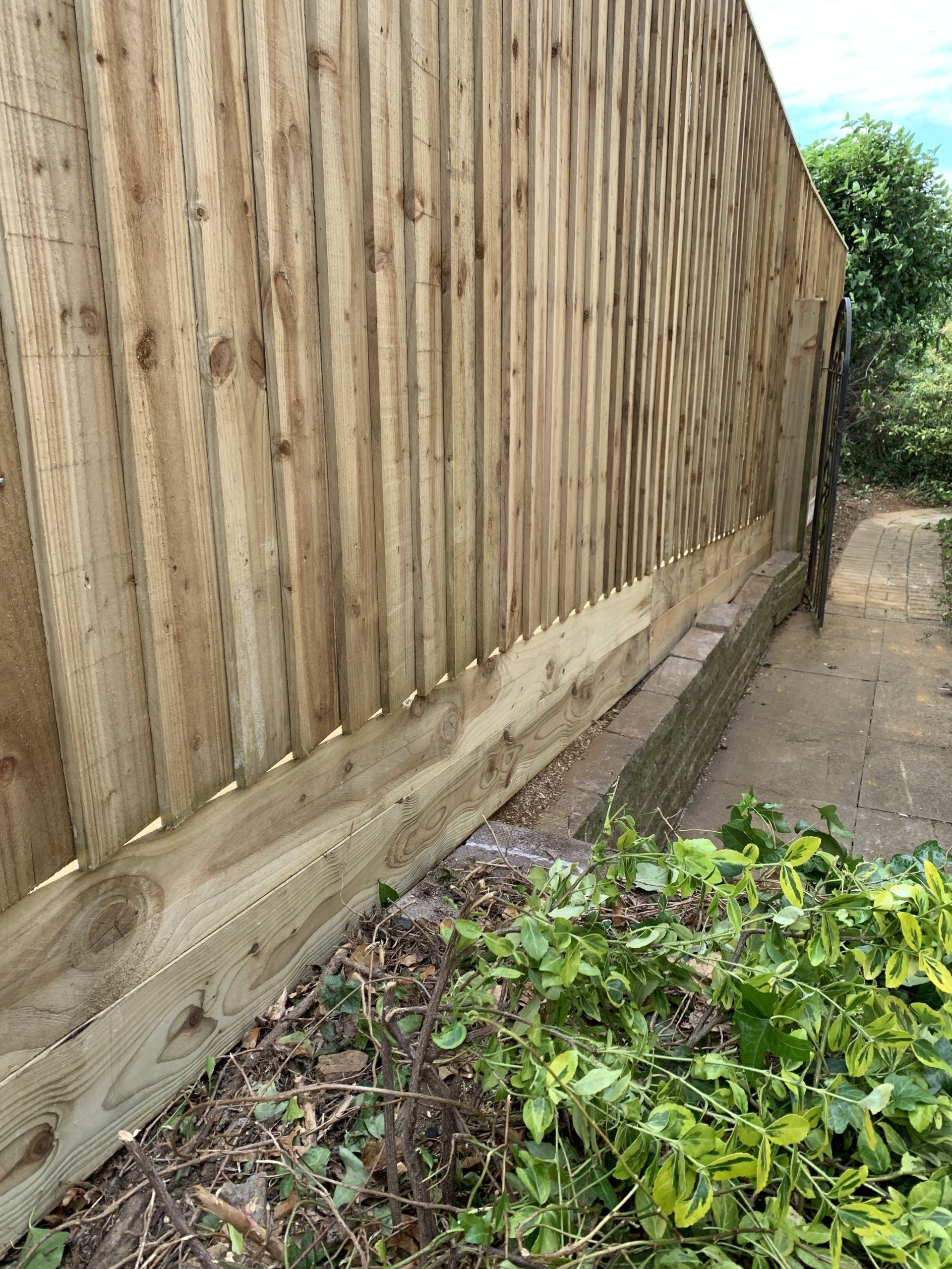 Qualified Tree Surgeon, Cotswolds | Tom Negus Tree Care