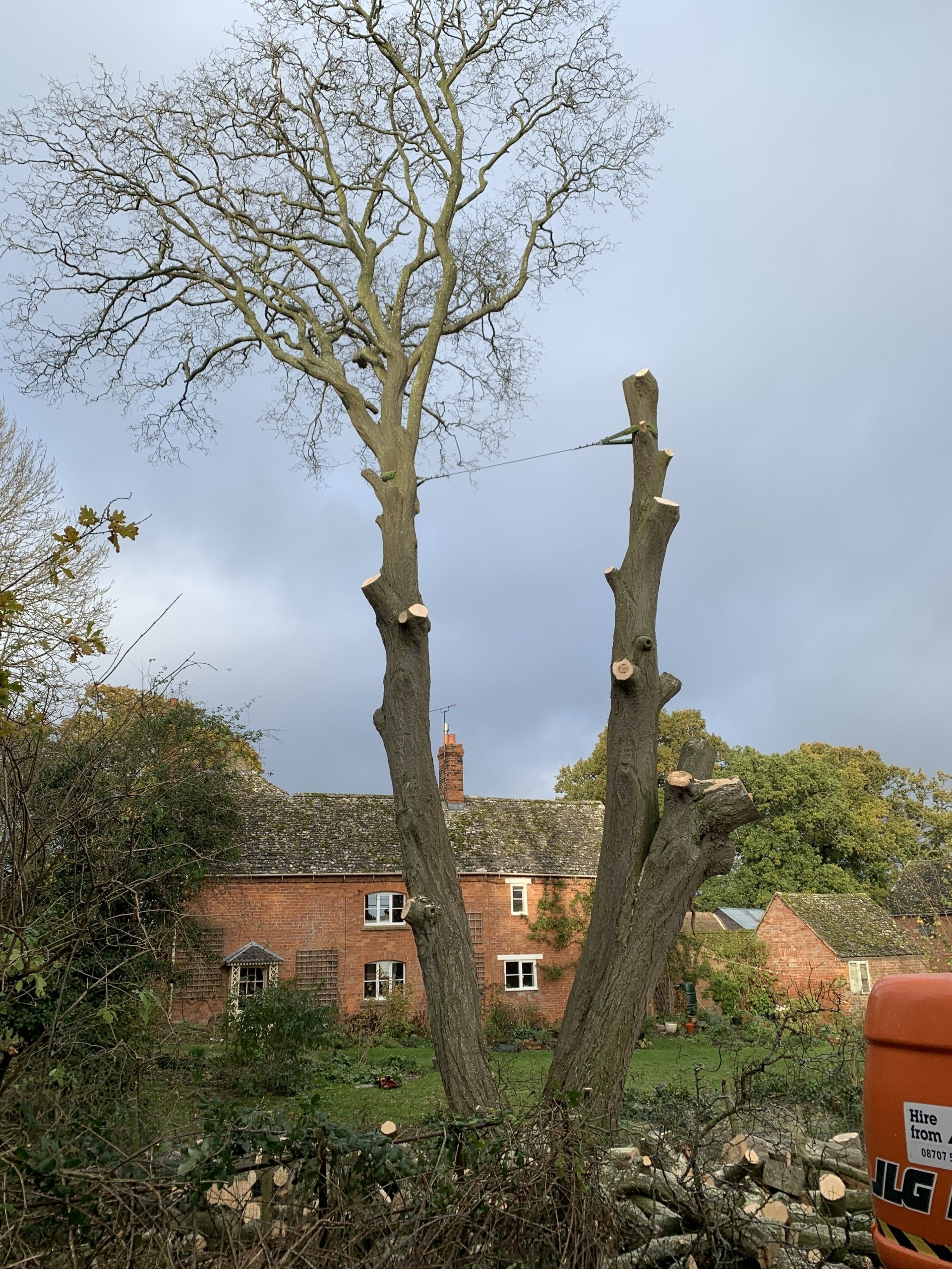 Qualified Tree Surgeon, Cotswolds | Tom Negus Tree Care