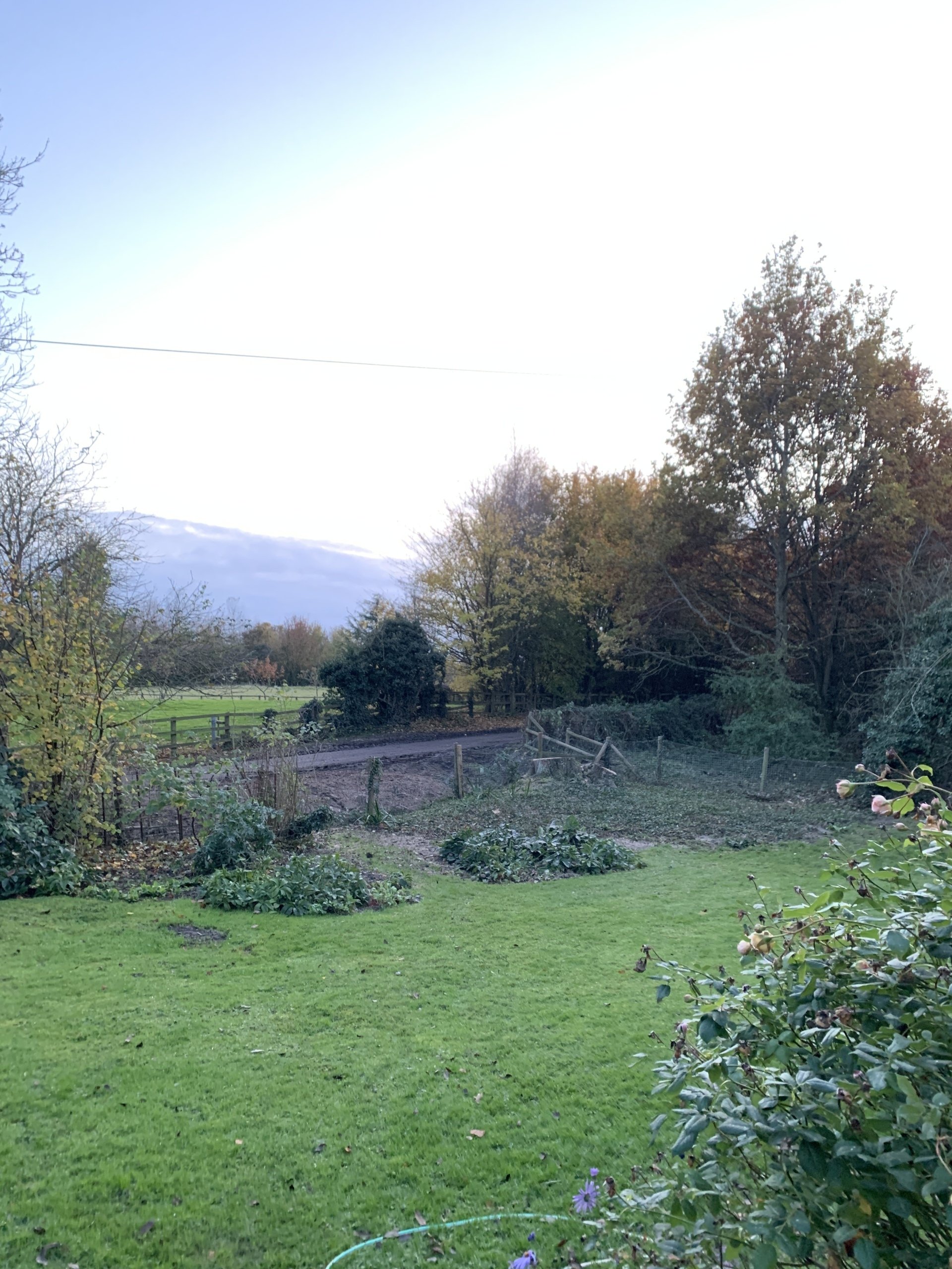 Qualified Tree Surgeon, Cotswolds | Tom Negus Tree Care