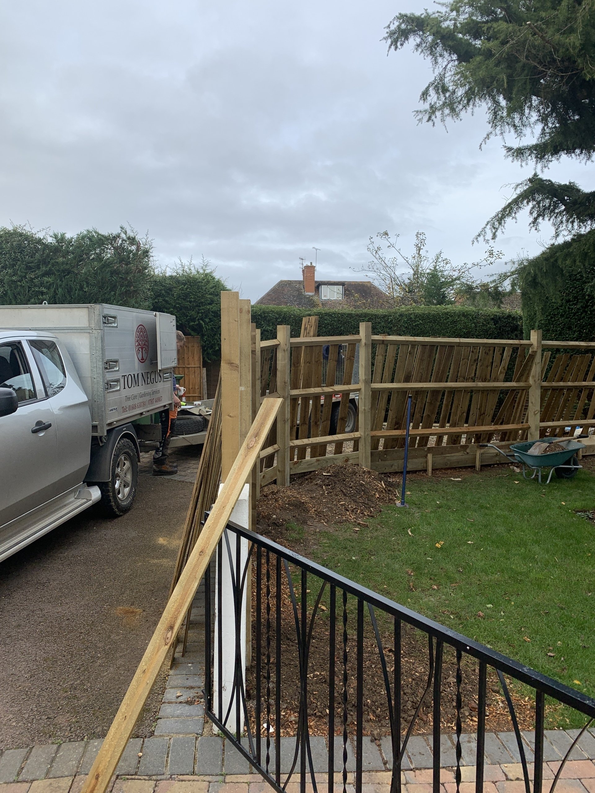 Qualified Tree Surgeon, Cotswolds | Tom Negus Tree Care