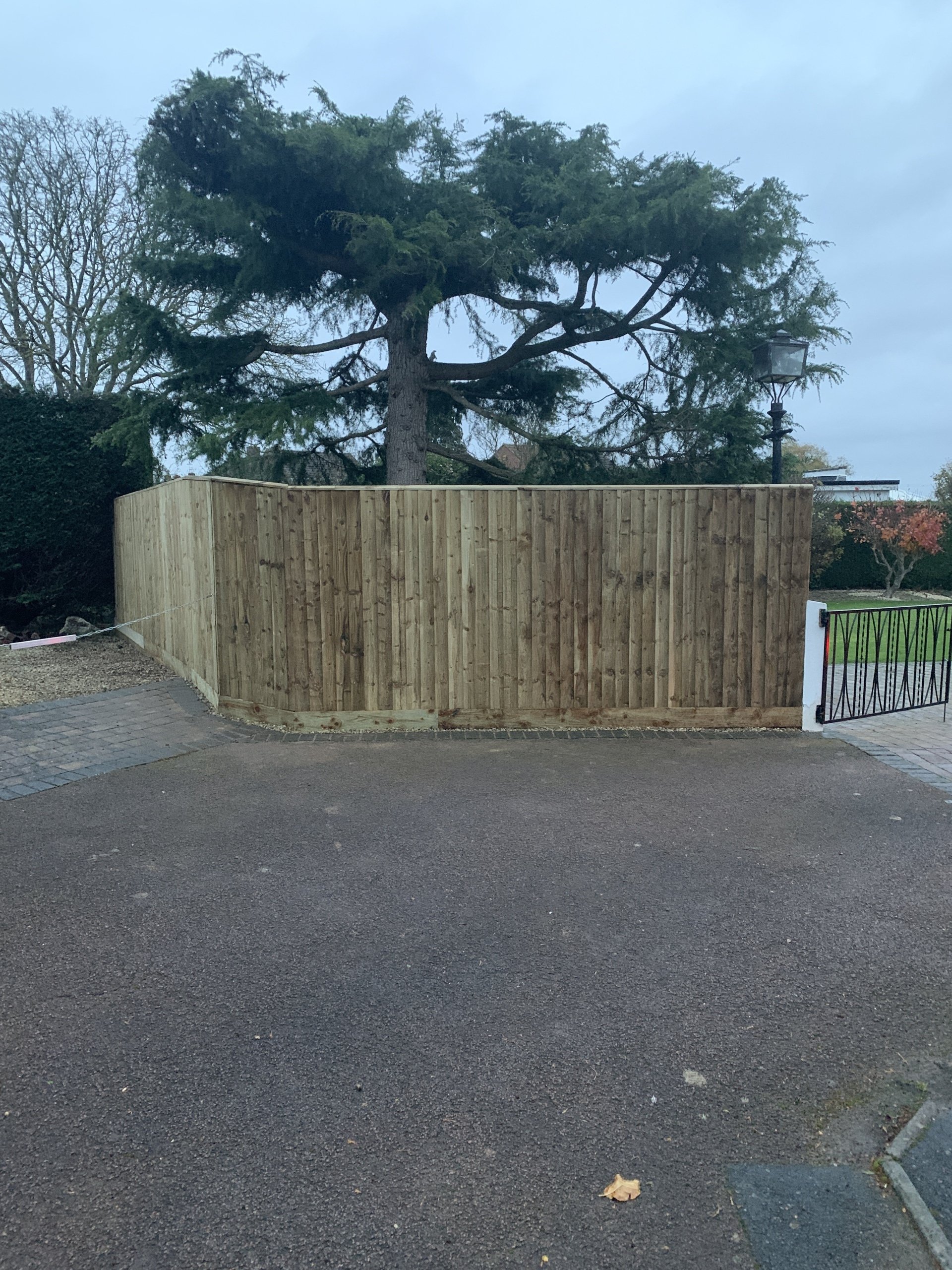 Qualified Tree Surgeon, Cotswolds | Tom Negus Tree Care