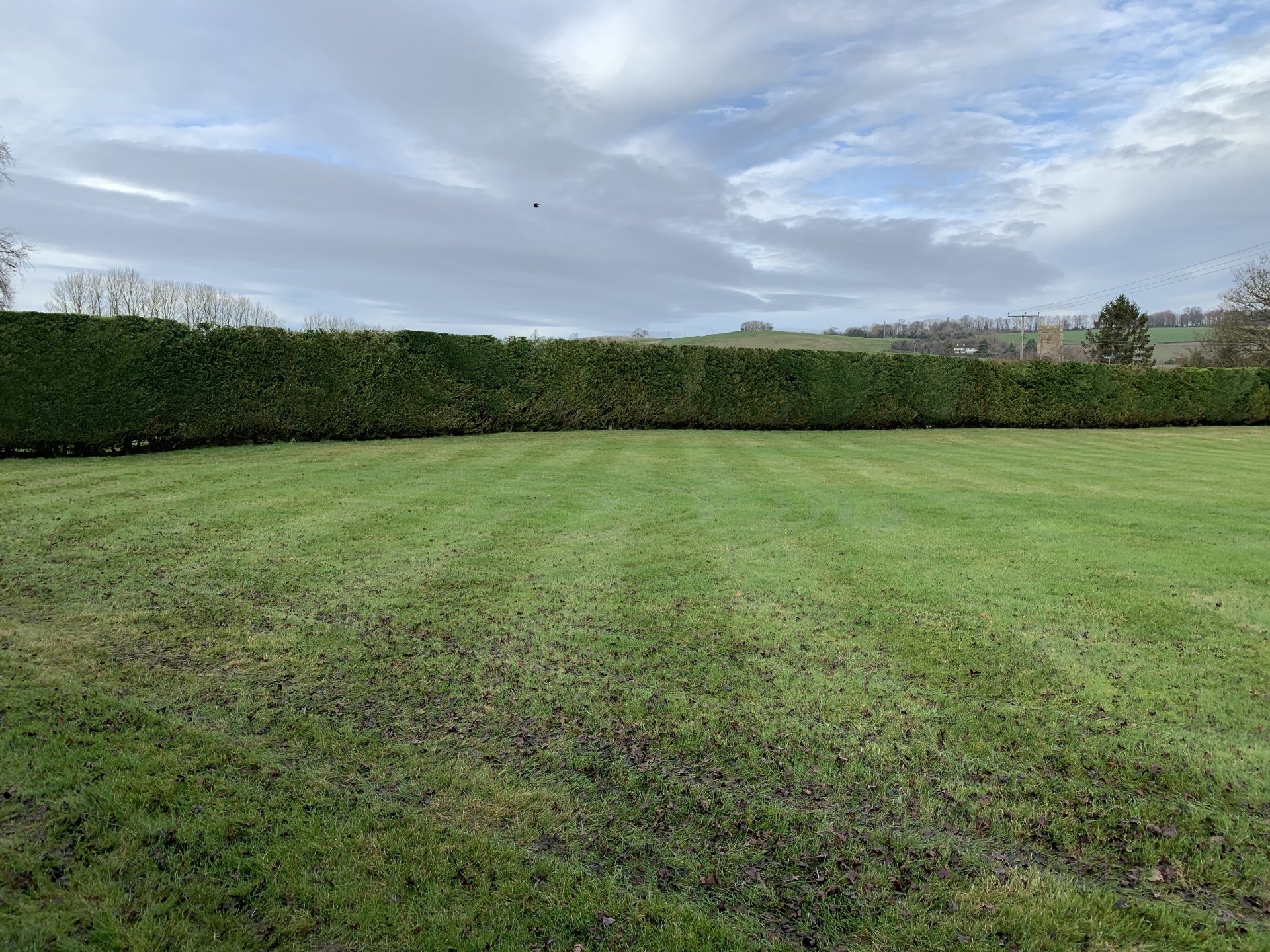 Qualified Tree Surgeon, Cotswolds | Tom Negus Tree Care