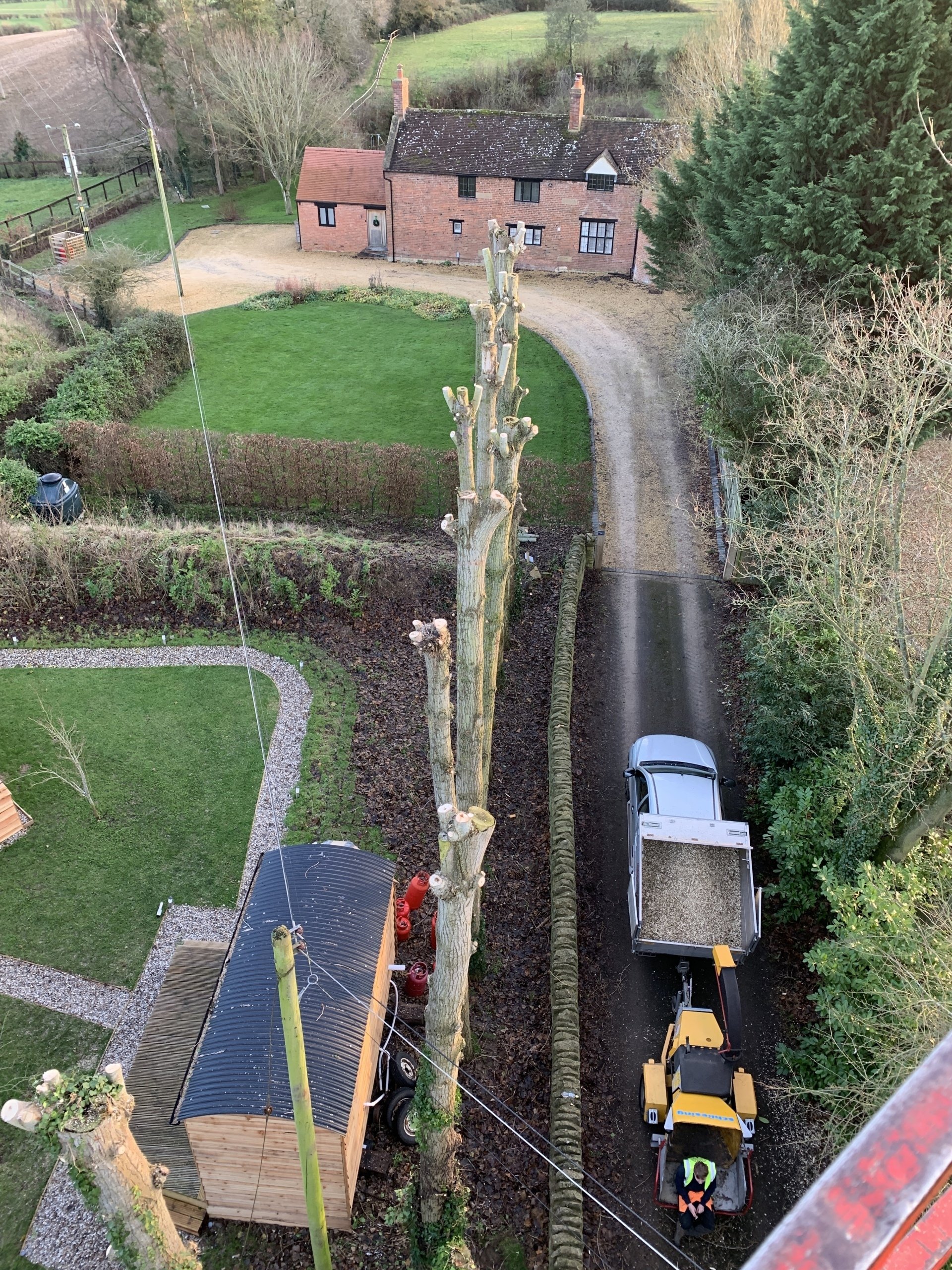 Qualified Tree Surgeon, Cotswolds | Tom Negus Tree Care