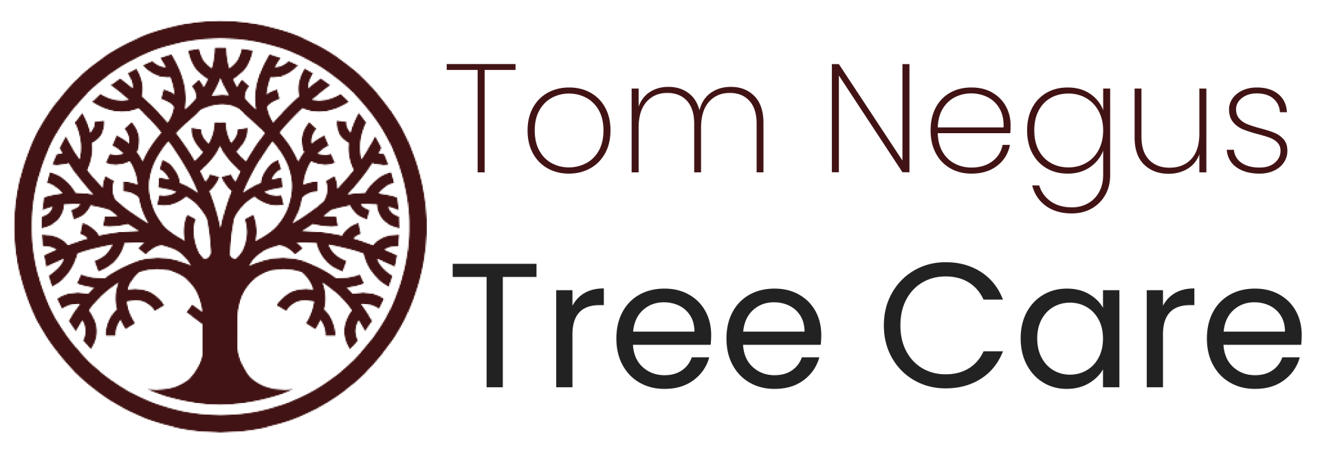 Qualified Tree Surgeon, Cotswolds | Tom Negus Tree Care
