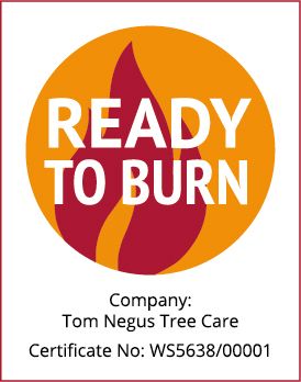 Qualified Tree Surgeon, Cotswolds | Tom Negus Tree Care