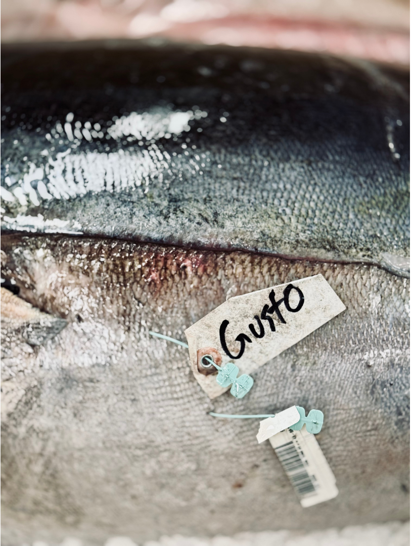Seafood Wholesale in Western Carolinas | Gusto Fresh