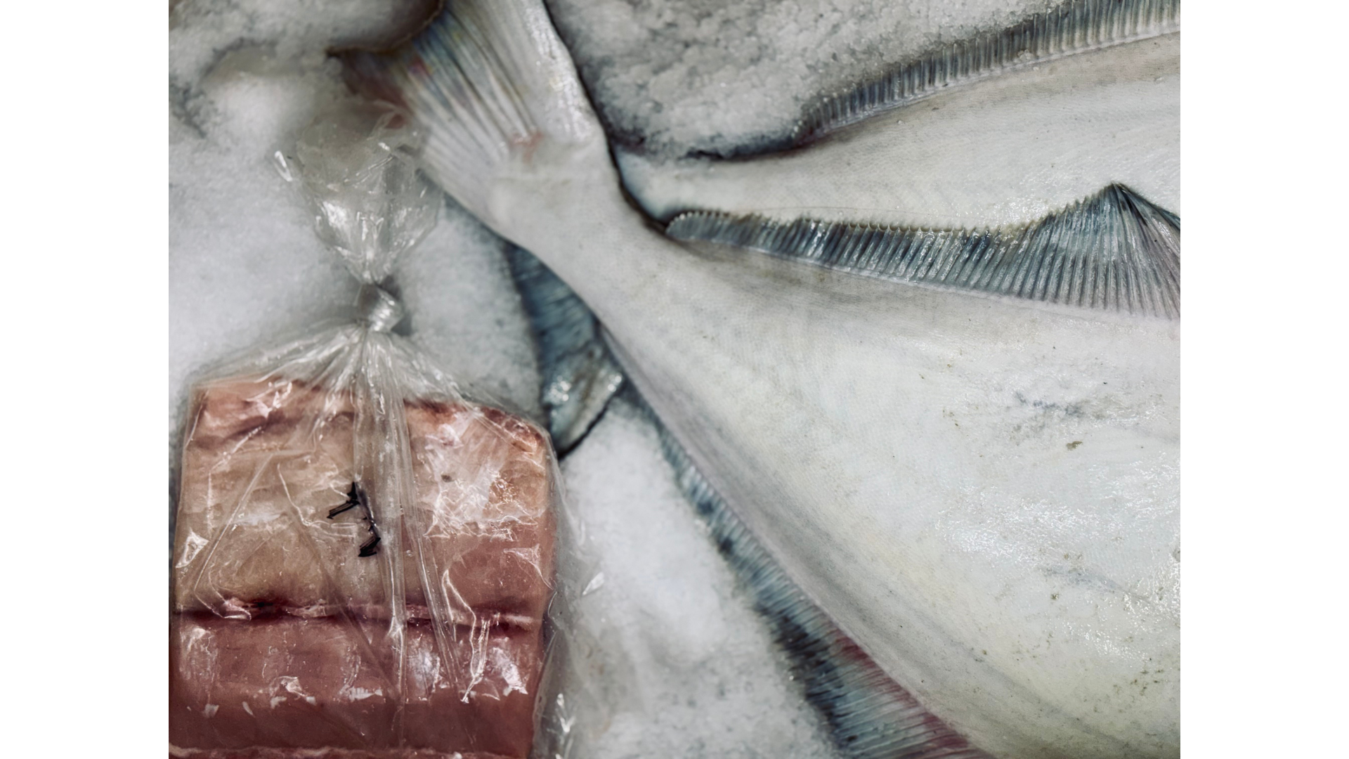 Seafood Wholesale in Western Carolinas | Gusto Fresh