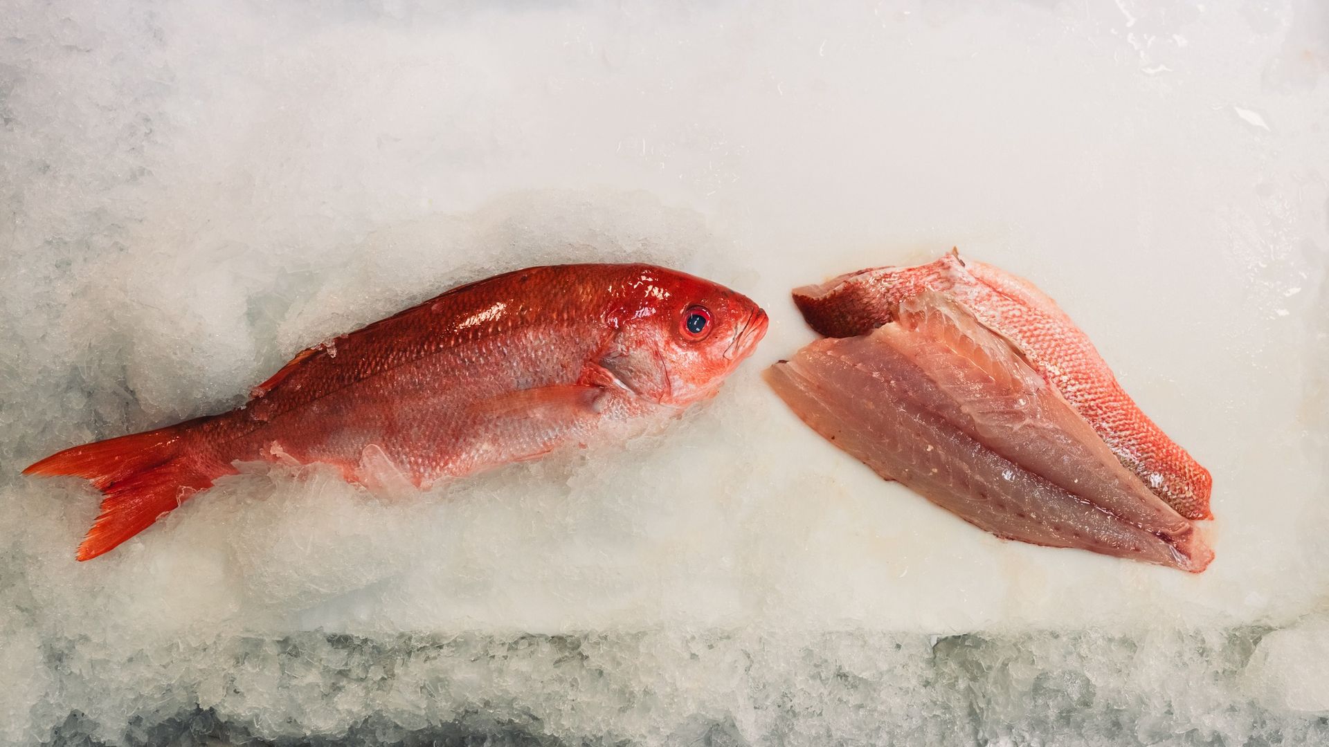 Seafood Wholesale | Western Carolinas | 864-867-8097